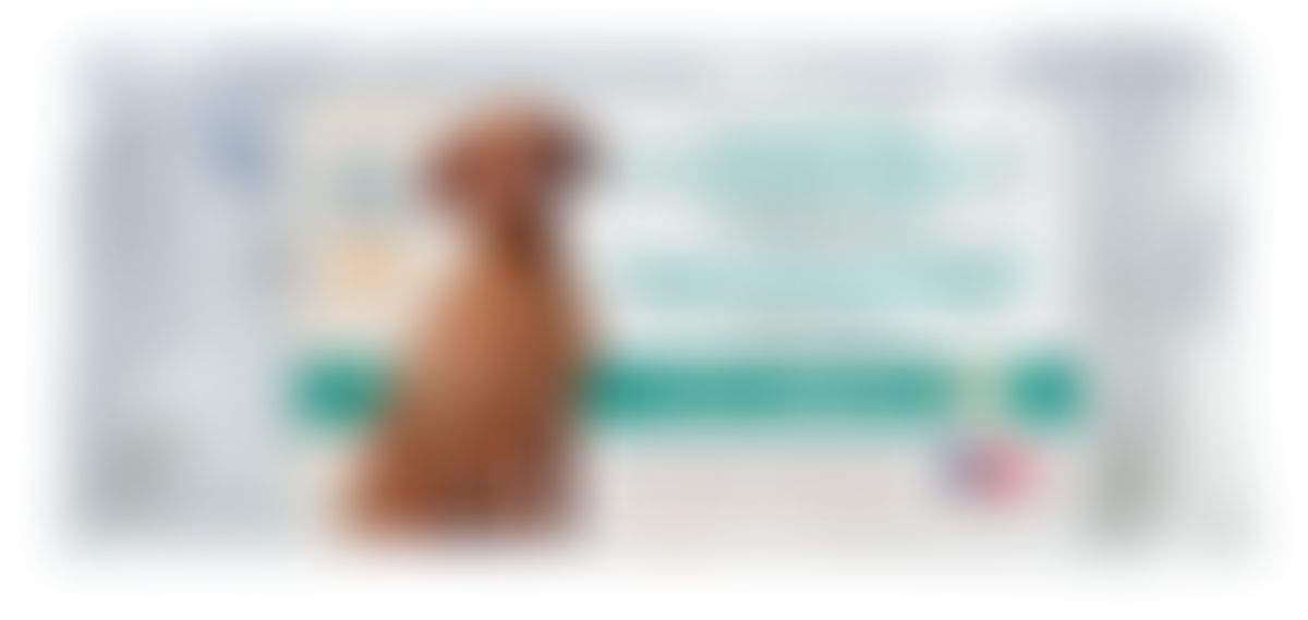 Durvet Canine Spectra 004-15126 Nine-Way Protection Dog Vaccine - Buy ...